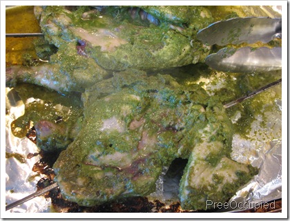 PreeOccupied: Whole Hara Kukkad